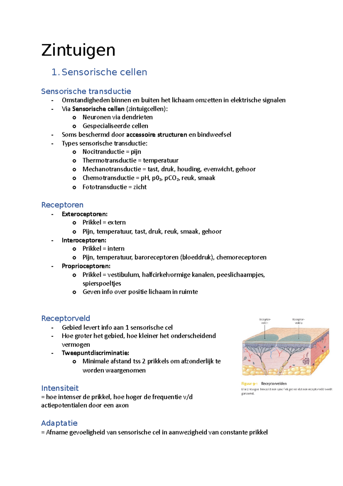 Zintuigen (samenvatting) - Zintuigen 1. Sensorische cellen Sensorische ...
