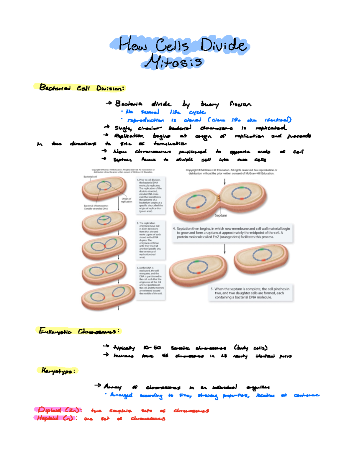 Biology 198 Chapter 10 Notes - BIO 198 - Studocu