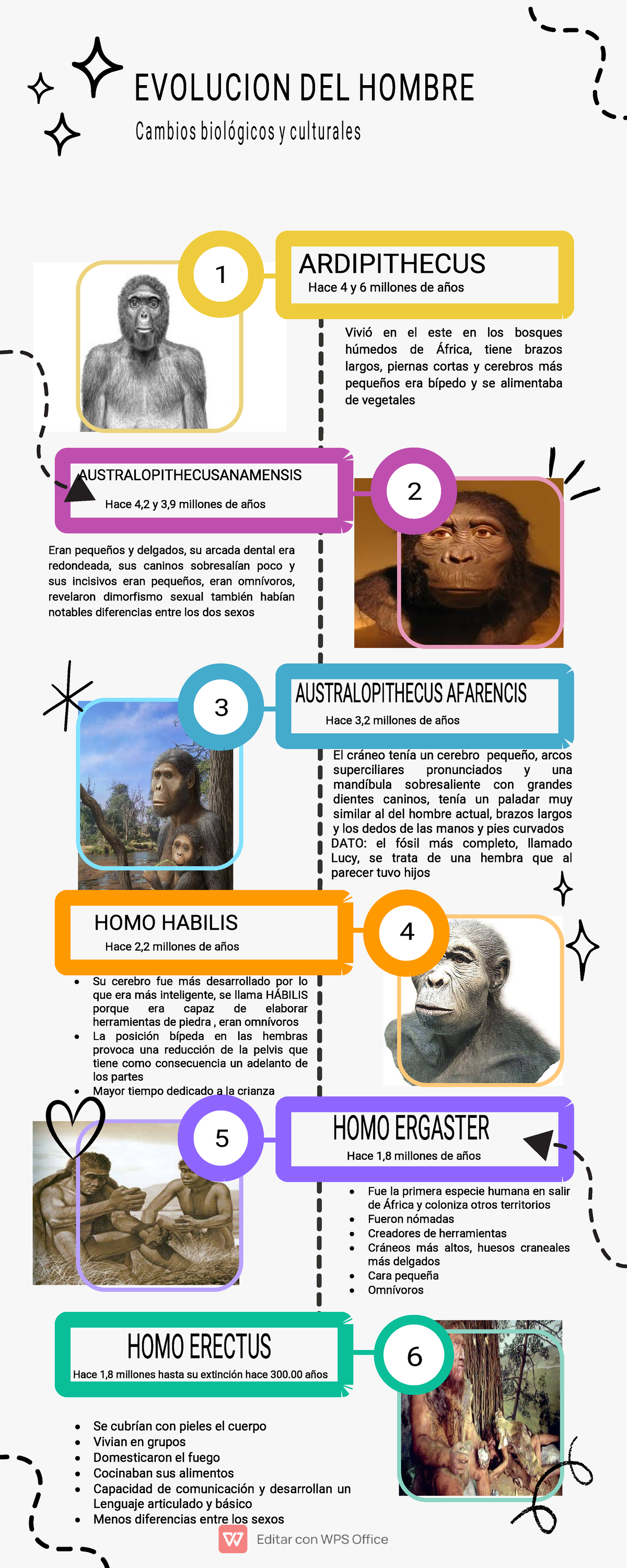 Línea de tiempo Evolución DEL Hombre - EVOLUCIONDELHOMBRE Cambiosbiológicosyculturales ...