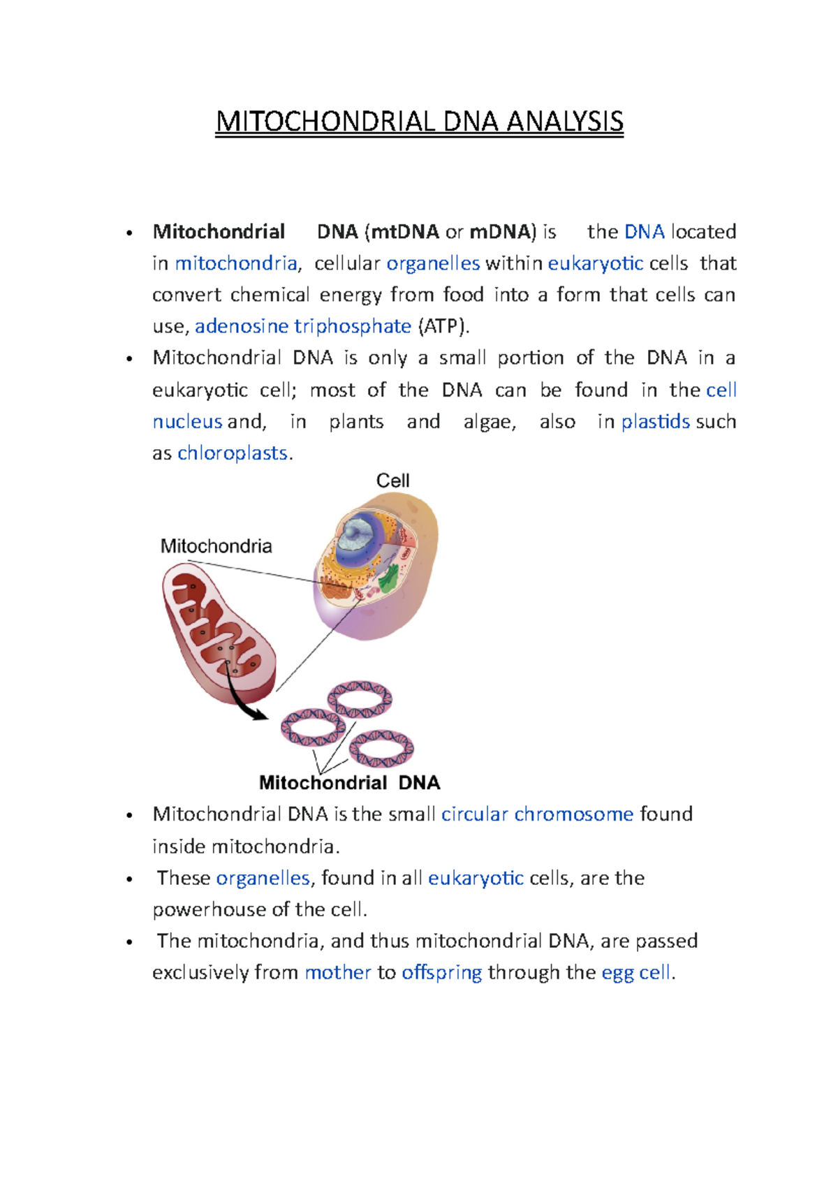 Deepika Pradeep - lecture notes - MITOCHONDRIAL DNA ANALYSIS ...