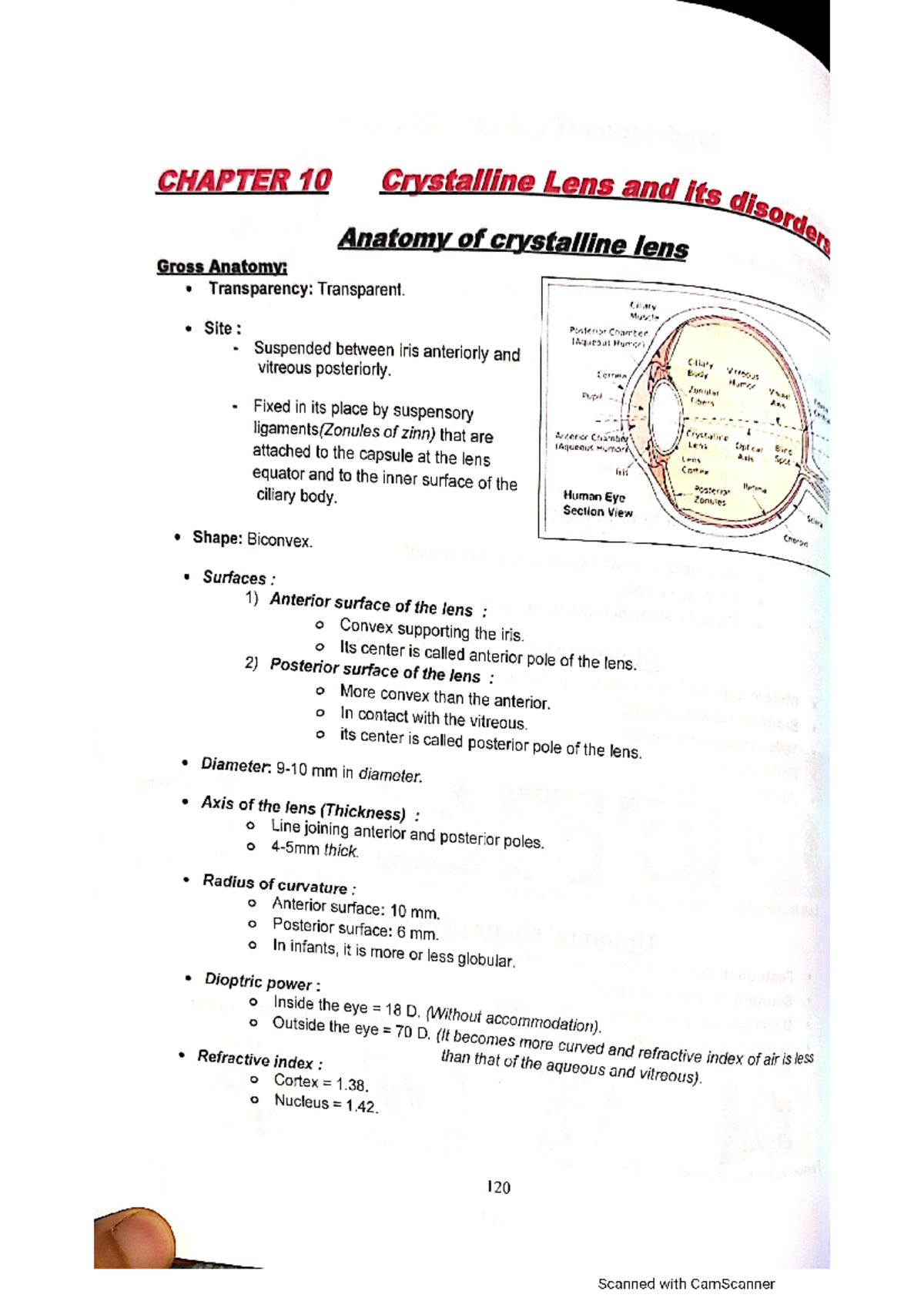 Lens - Description about eye lens anatomy , inflammation and other ...