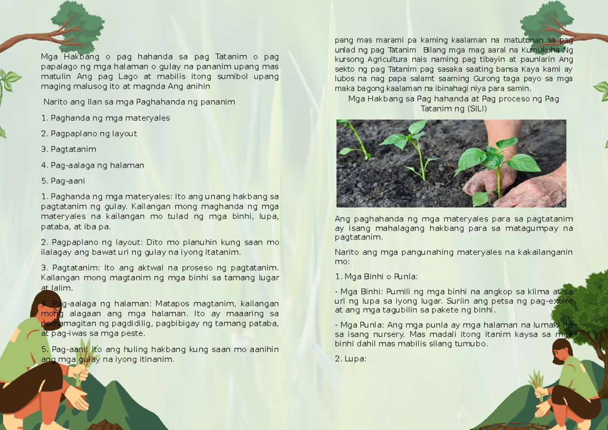 Pagtatanim - Mga Hakbang o pag hahanda sa pag Tatanim o pag papalago ng ...