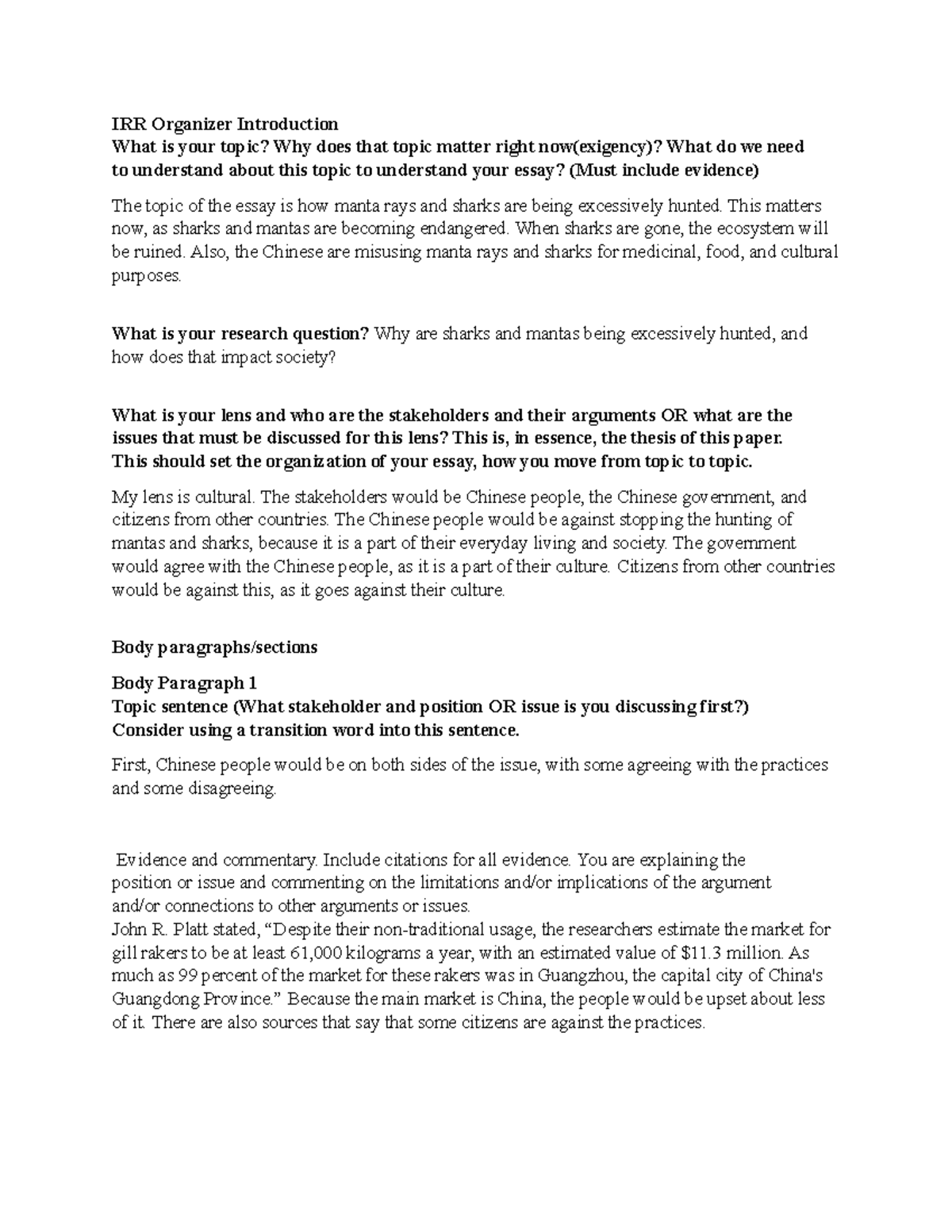 Irr Outline Irr Organizer Introduction What Is Your Topic Why Does That Topic Matter Right