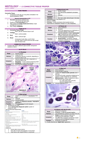 Histo-Practical-Compilation-of-Pictures - HISTOLOGY PRACTICAL EXAM – FEB 26, 2021 EXERCISE 1 ...
