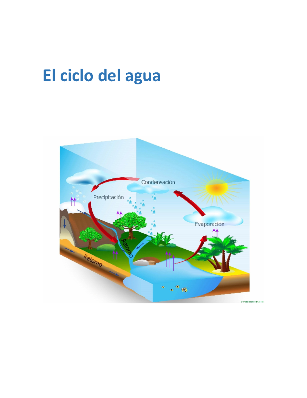 EL Ciclo DEL AGUA - Apuntes - El ciclo del agua Un ciclo es un conjunto ...