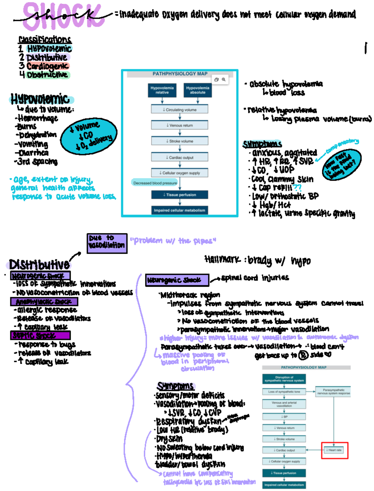 Shock Notes - shock ...