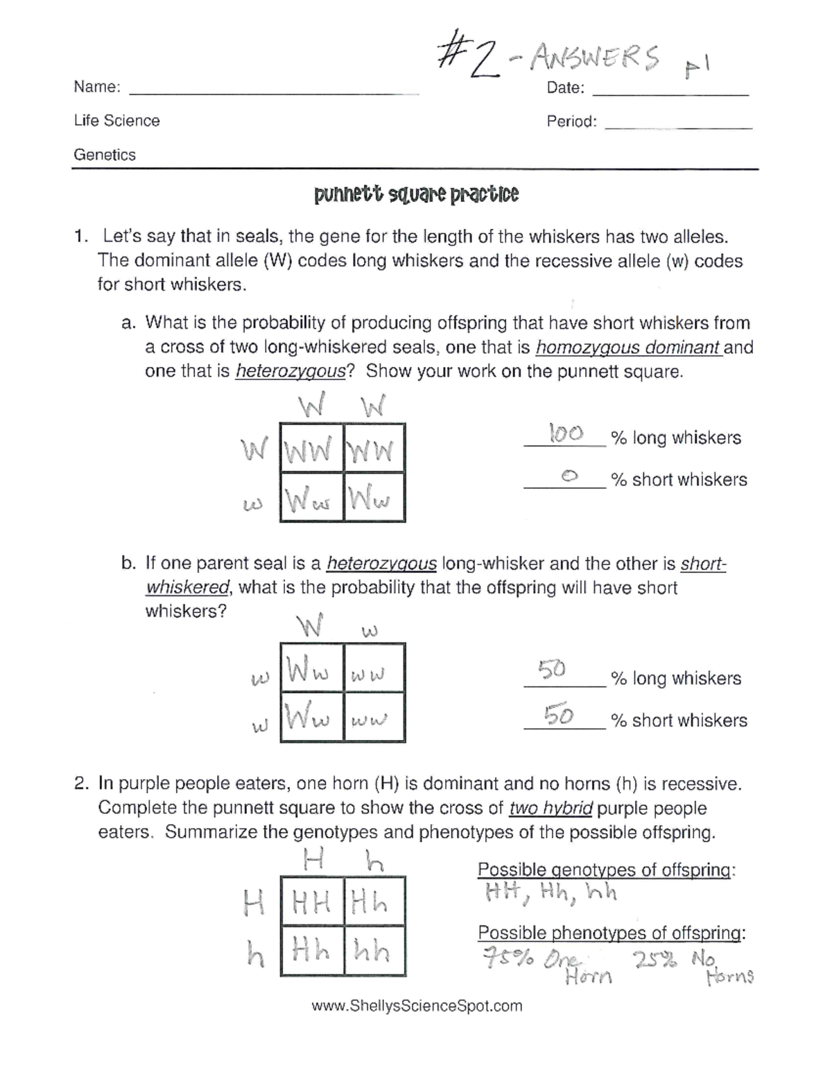 Review Packet 2 Answers 2016 - Studocu