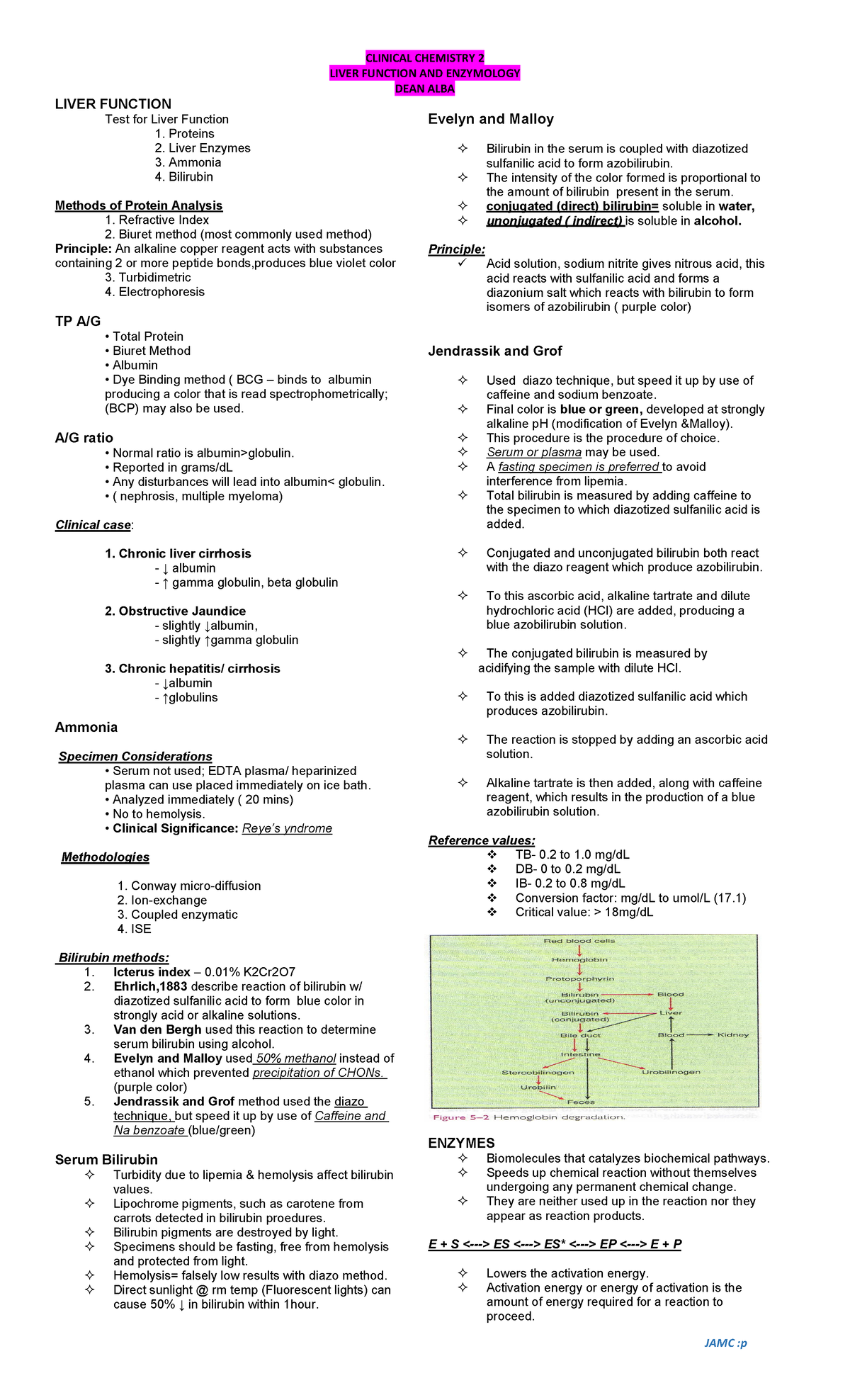 Liver- Function- Enzyme - LIVER FUNCTION AND ENZYMOLOGY DEAN ALBA LIVER ...