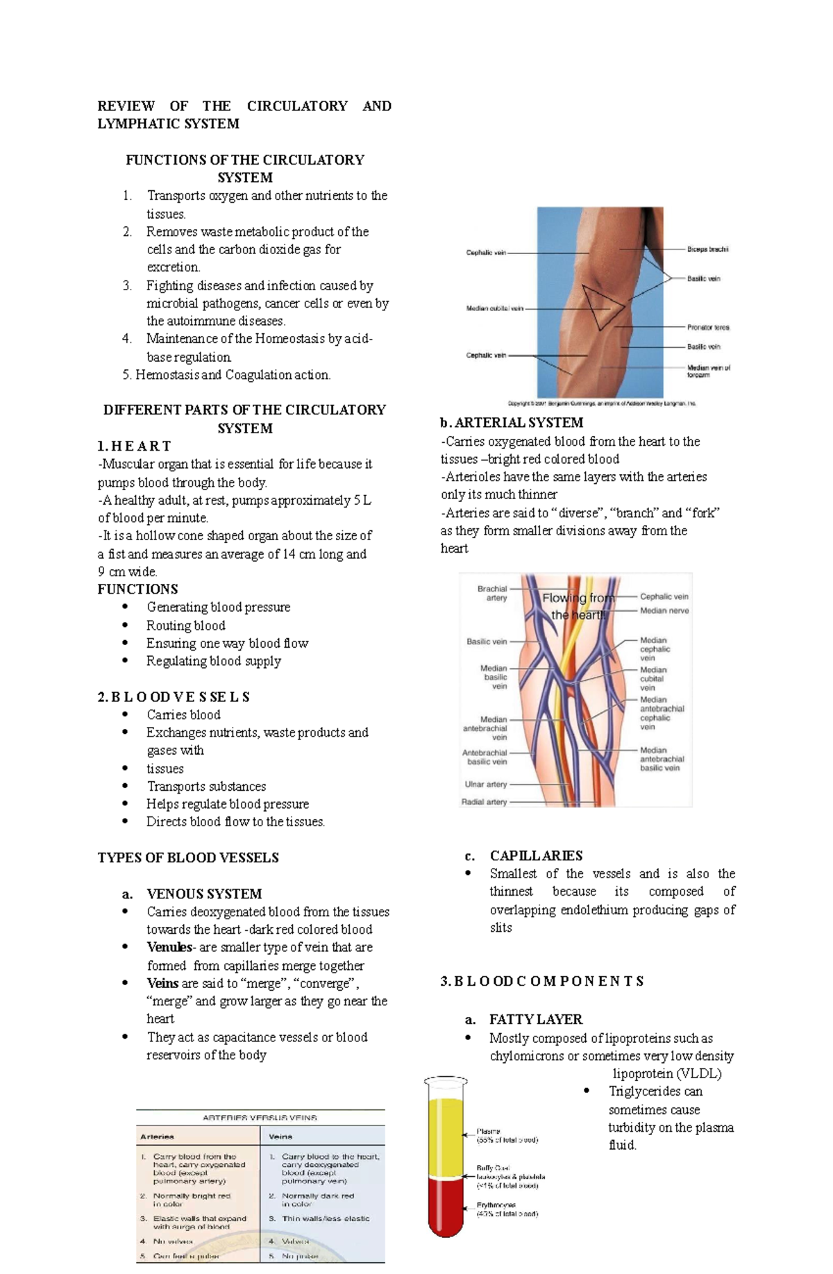 445545459 Review of the Circulatory and Lymphatic System docx - REVIEW ...
