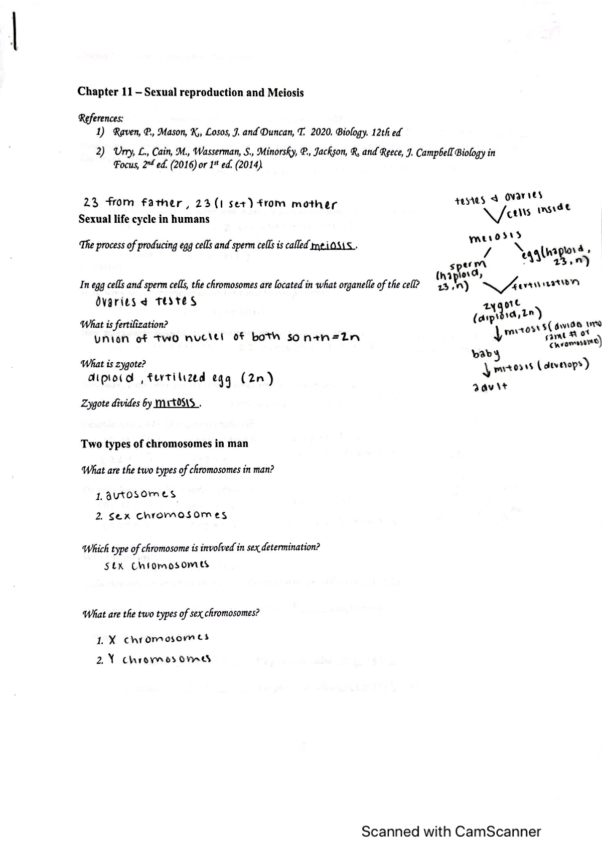 Chapter 11- Sexual Reproduction and Meiosis - BIOL 1406 - Studocu