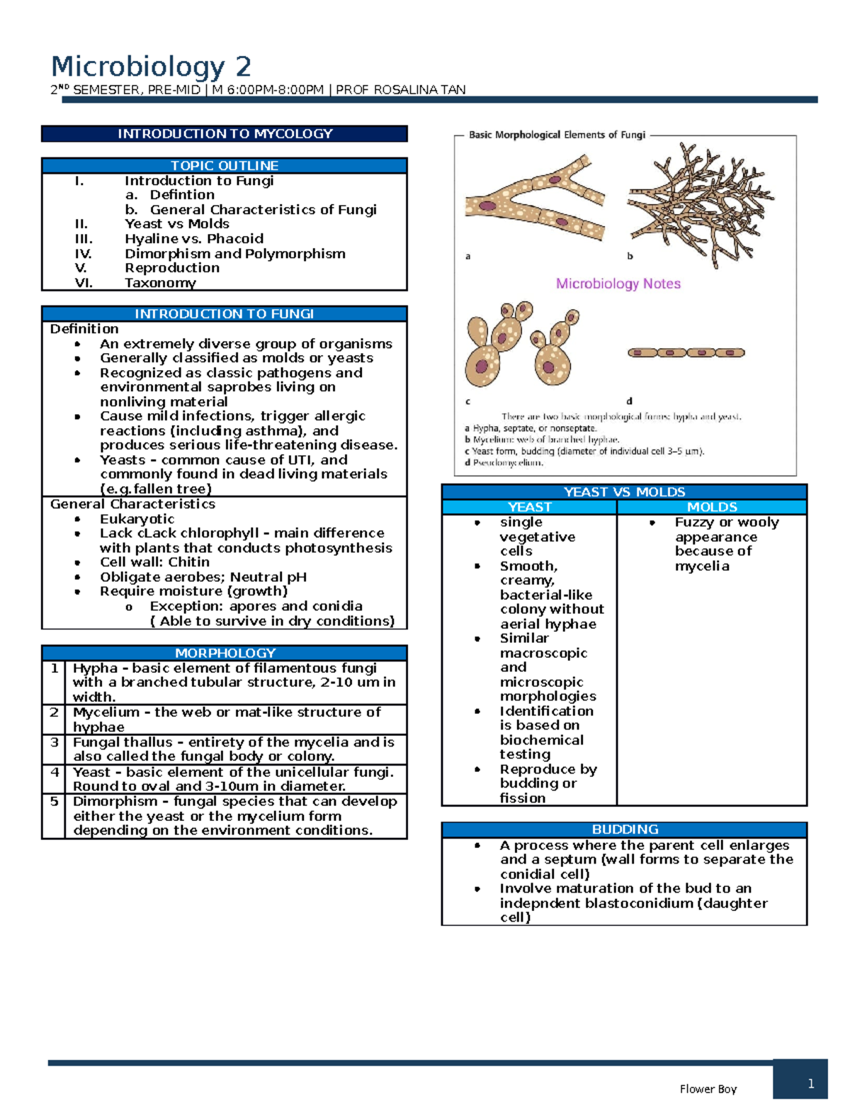 Micro 2 Introduction to Mycology - 2 ND SEMESTER, PRE-MID | M 6:00PM-8:00PM | PROF ROSALINA TAN ...