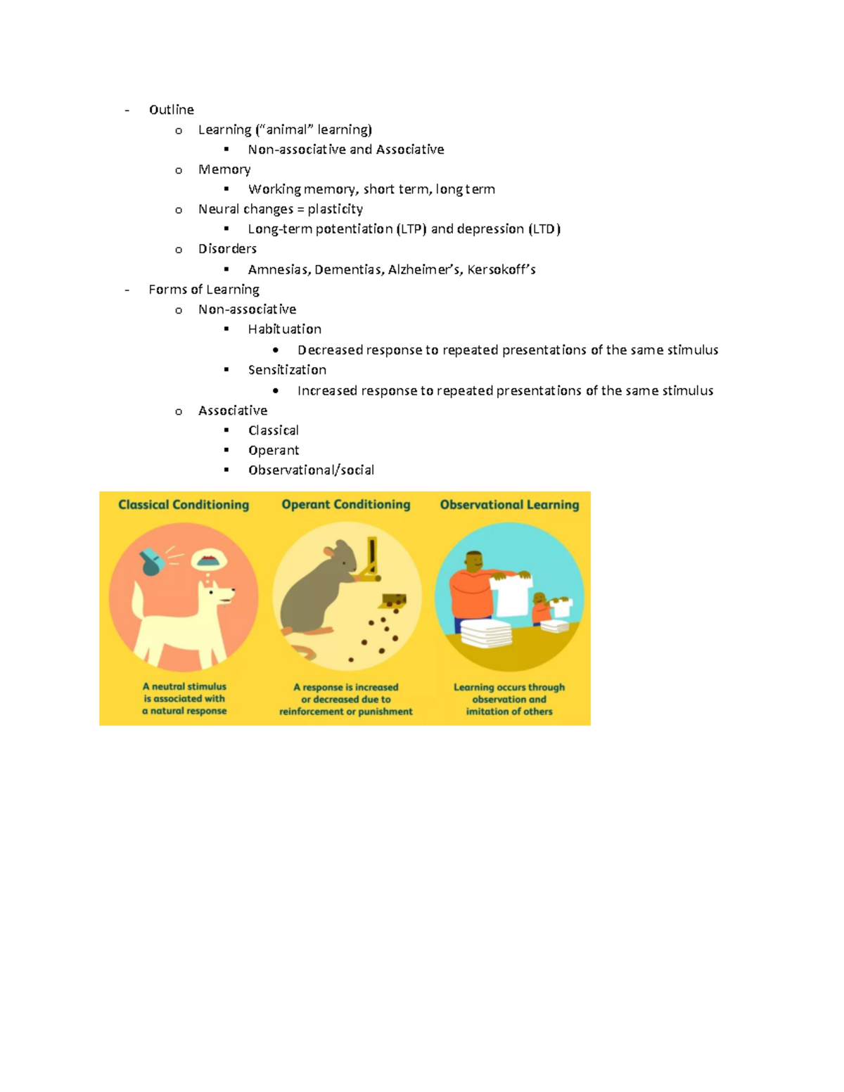 12 - Learning and Memory - Outline o Learning