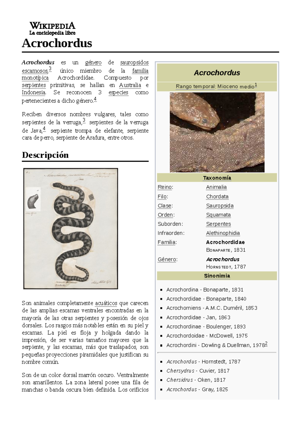 Acrochordus - Especies - Acrochordus Rango temporal: Mioceno medio 1 ...