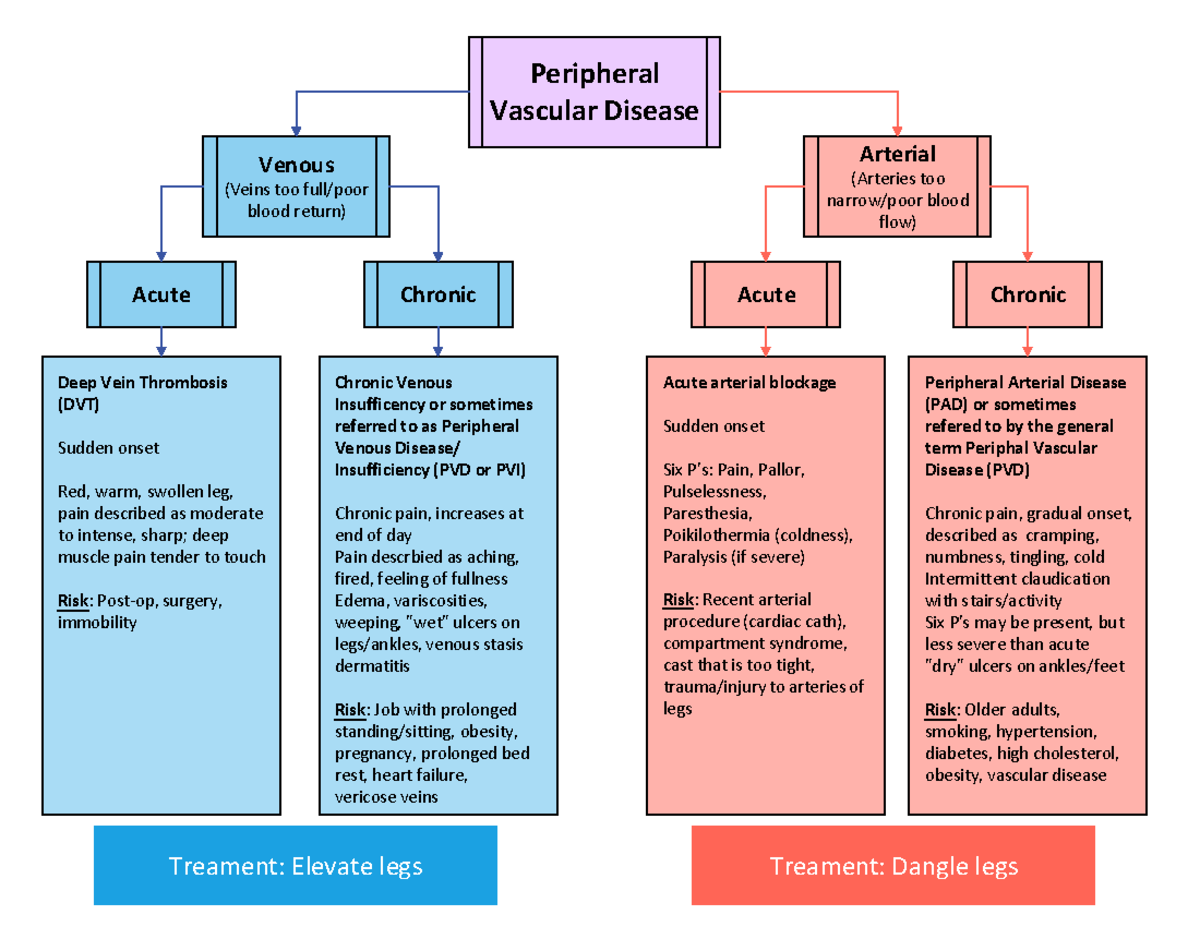 PVD Arterial vs Venous - N.a - Peripheral Vascular Disease Venous ...