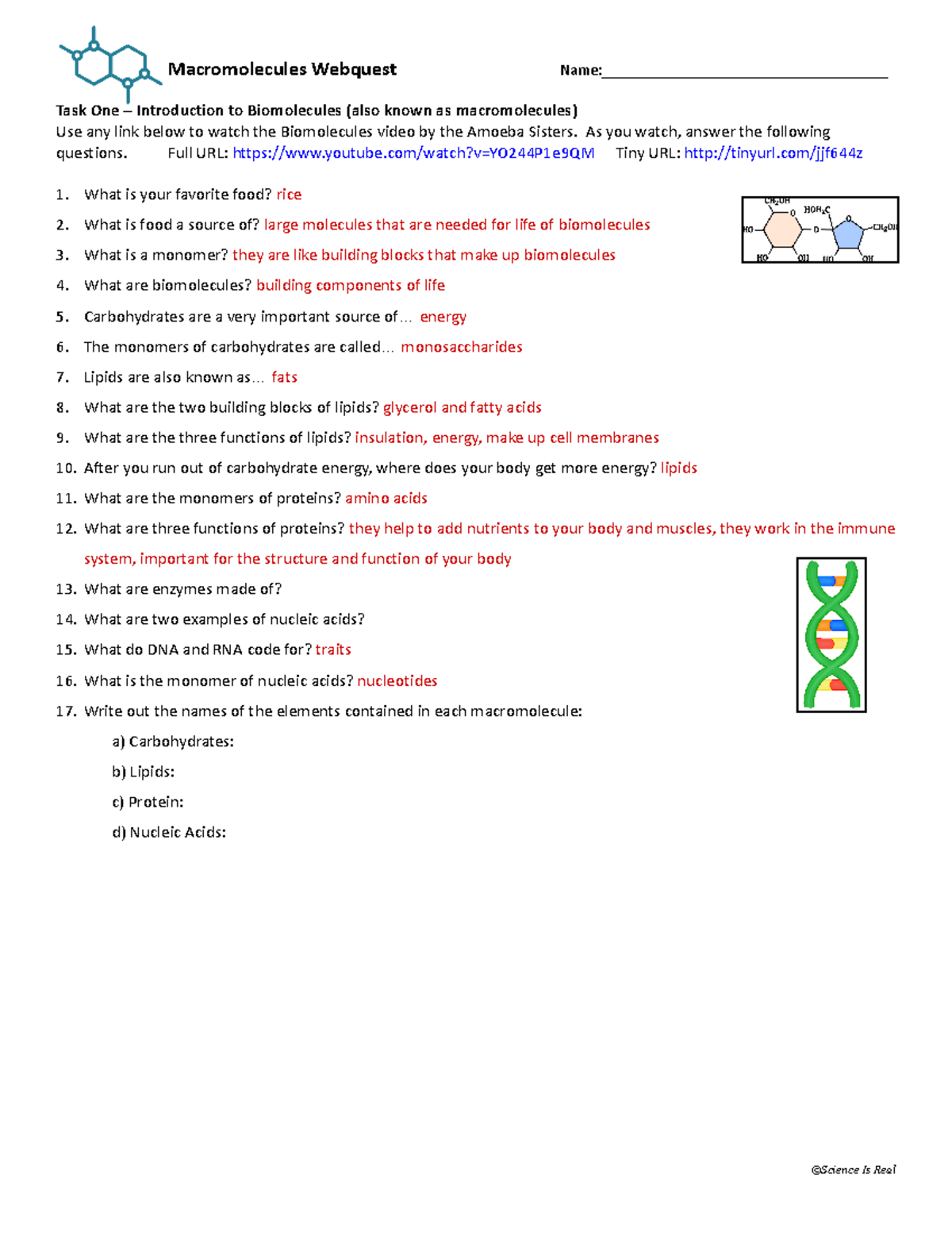 Lydia Garner - Macromolecules Web Quest - Macromolecules Webquest - Studocu