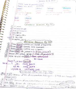 French 101 notes 1 - FRE 101 - Studocu