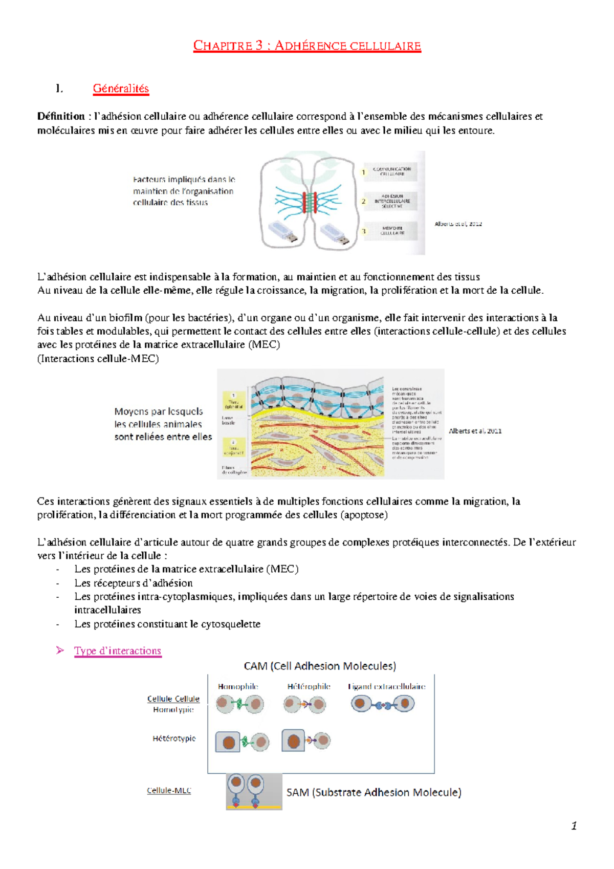 Adhérence - cours Word - CHAPITRE 3 : ADHÉRENCE CELLULAIRE I ...