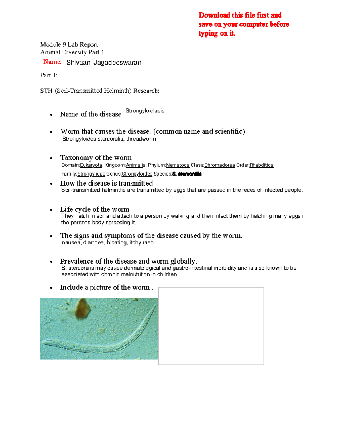 Kami Export - Module 9 Lab Report Animal Diversity 1 (2) (1) - Module 9 ...