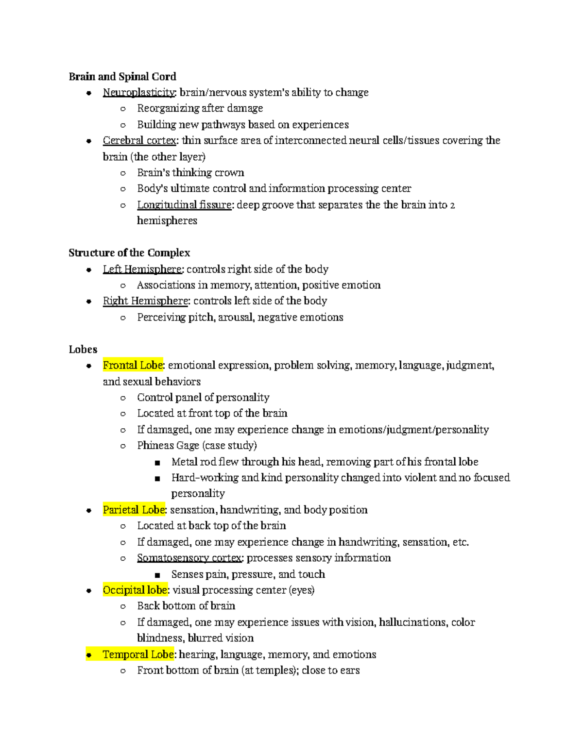 Chapter 3 Biopsychology (2) - Brain and Spinal Cord Neuroplasticity ...