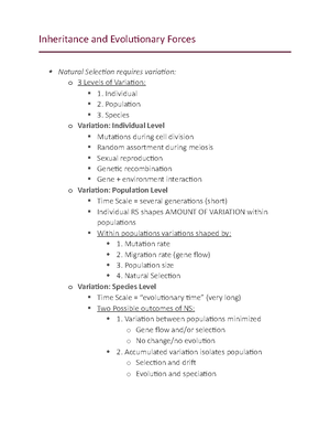 Primate Defining Characteristics - Haplorhines Strepsirhines Tapetum ...