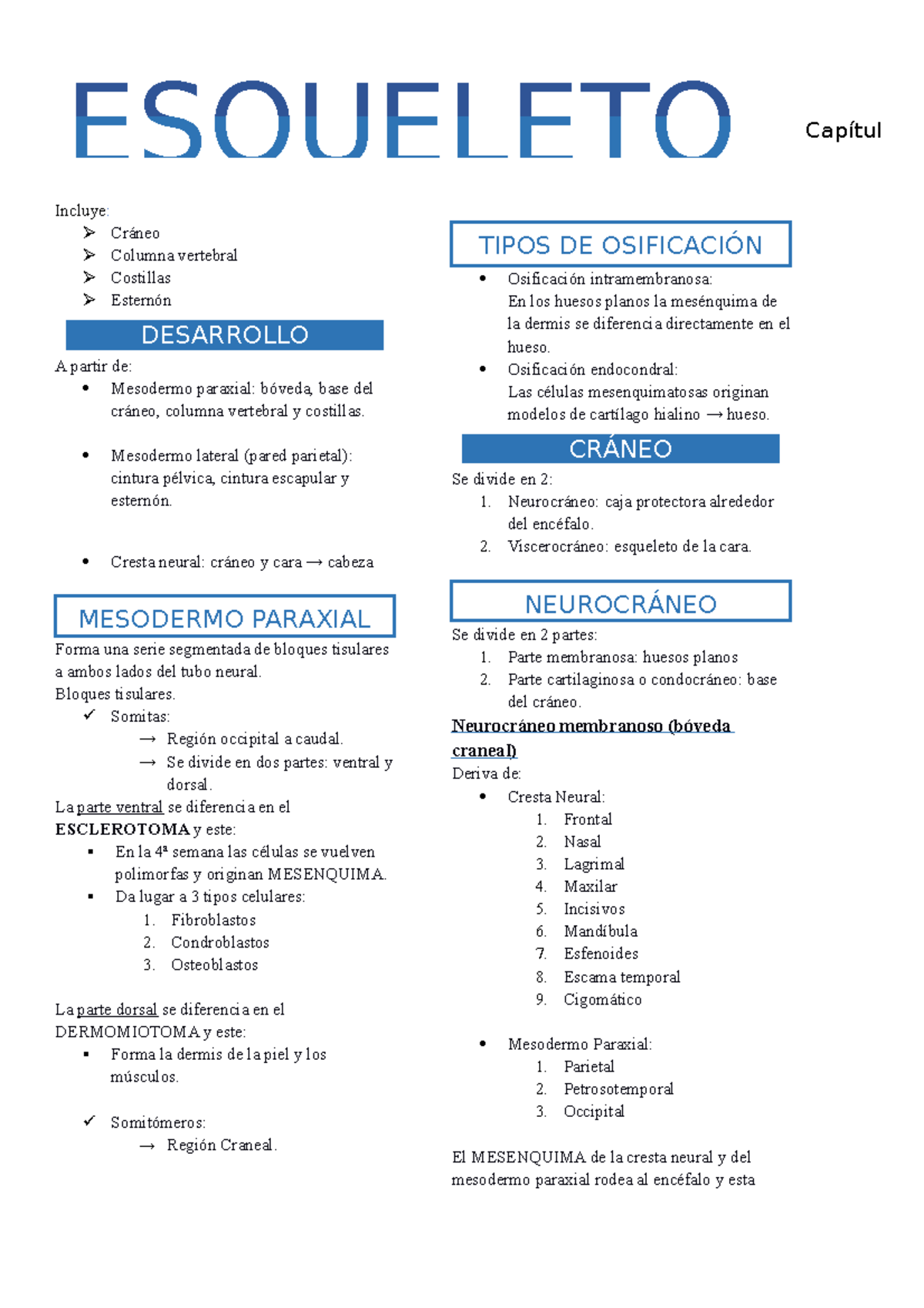 Esqueleto axial - resumen del capitulo 10 del libro embriologia humana ...