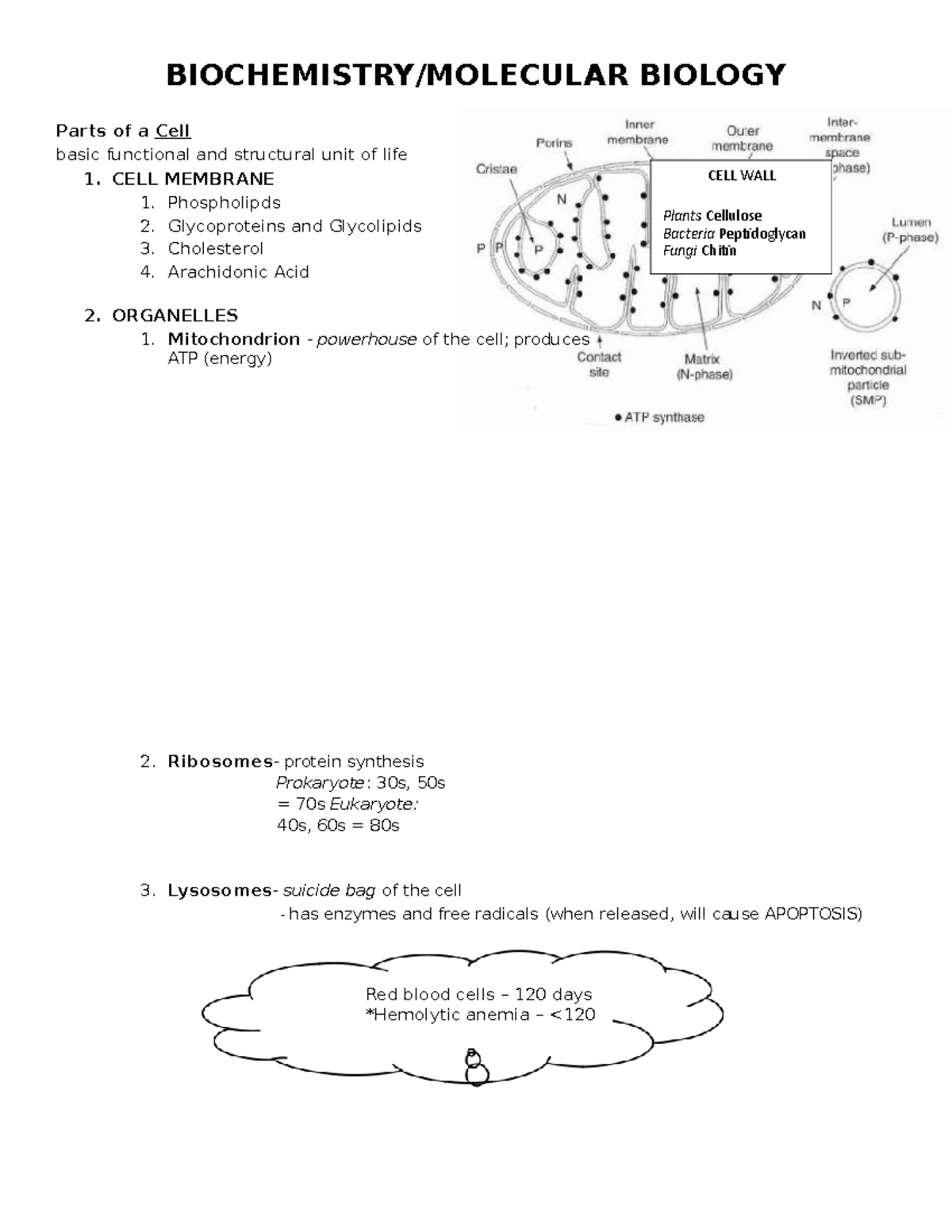 Pharmacy Module 2 (Biochemistry; Molecular Biology) - BIOCHEMISTRY ...