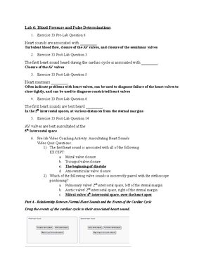 Lab 5 Anatomy of the blood vessels - Lab 5 – Anatomy of Blood Vessels 1 ...