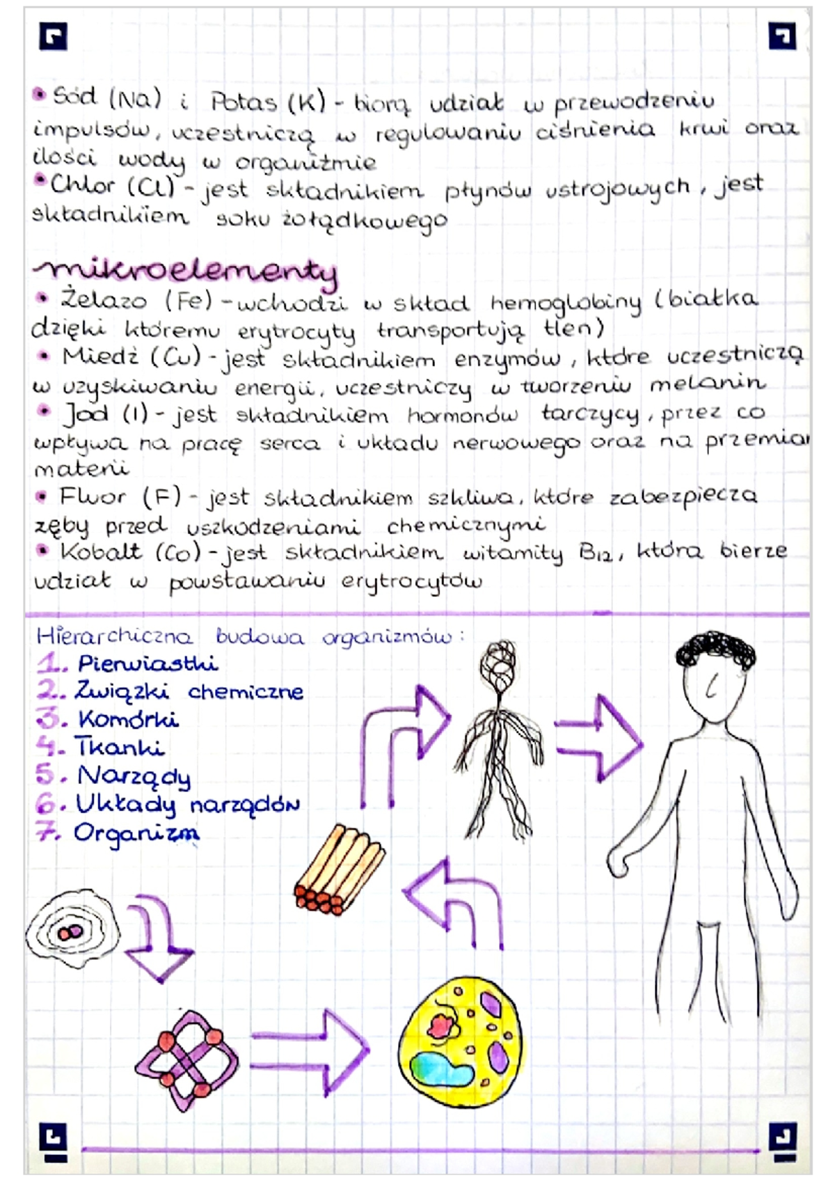 skład chemiczny organizmów (2) - Biologia - Zakres podstawowy - Studocu