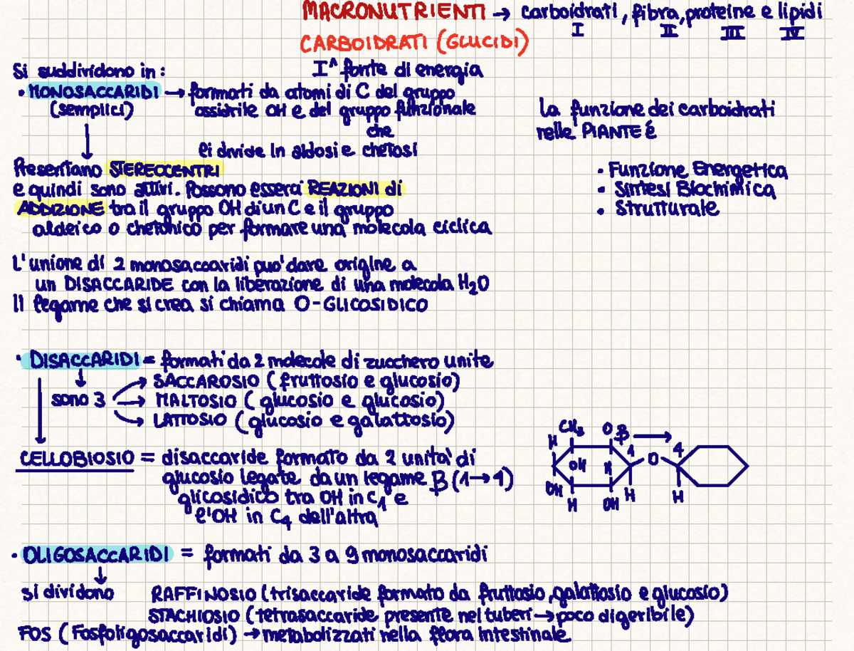 Schema sui nutrienti - Patologia - Studocu