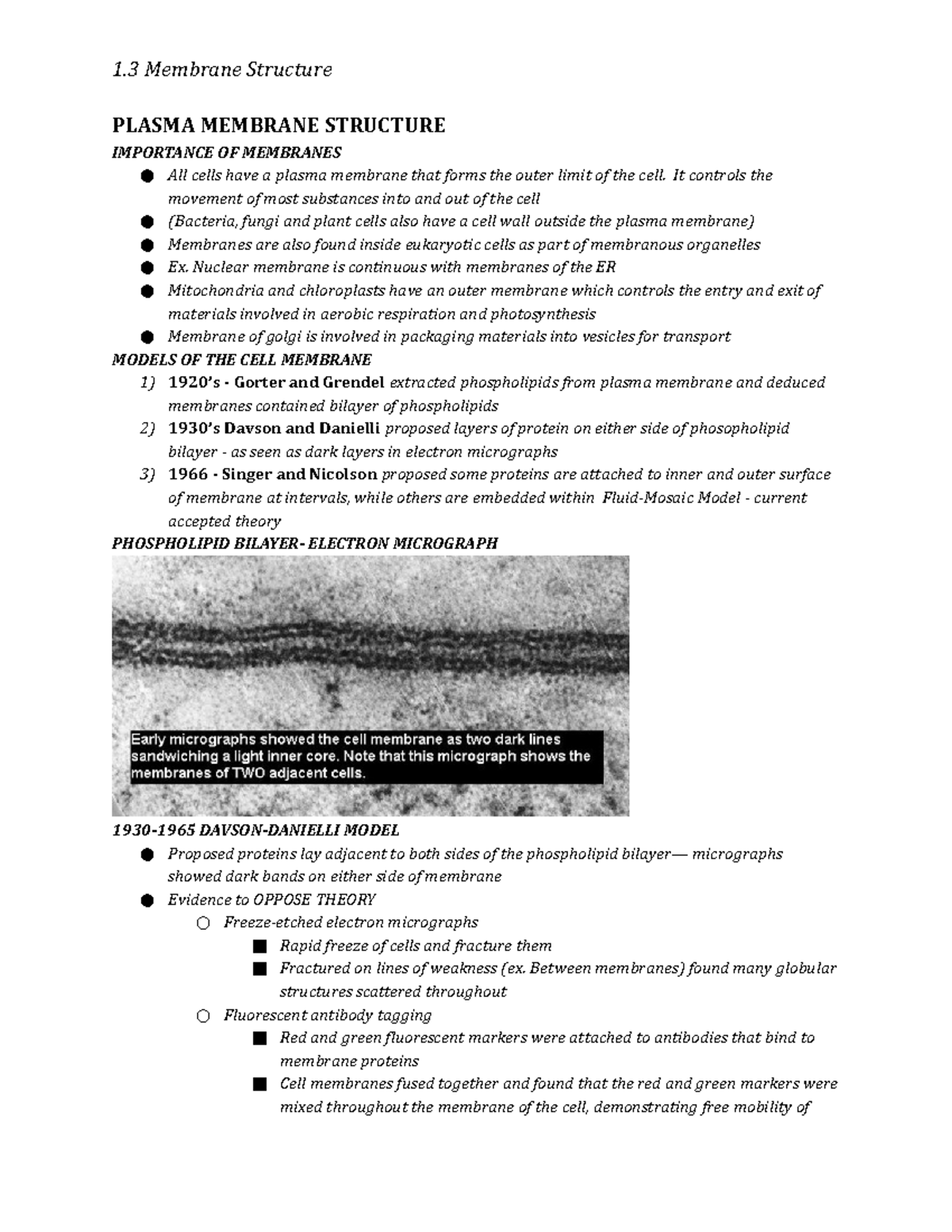 1.3 Plasma Membrane Structure September 21 - PLASMA MEMBRANE STRUCTURE ...