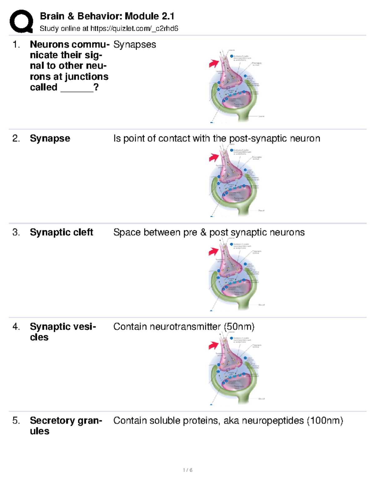 Quizlet Module 2.1 - Study online at quizlet/_c2rhd Neurons commu ...