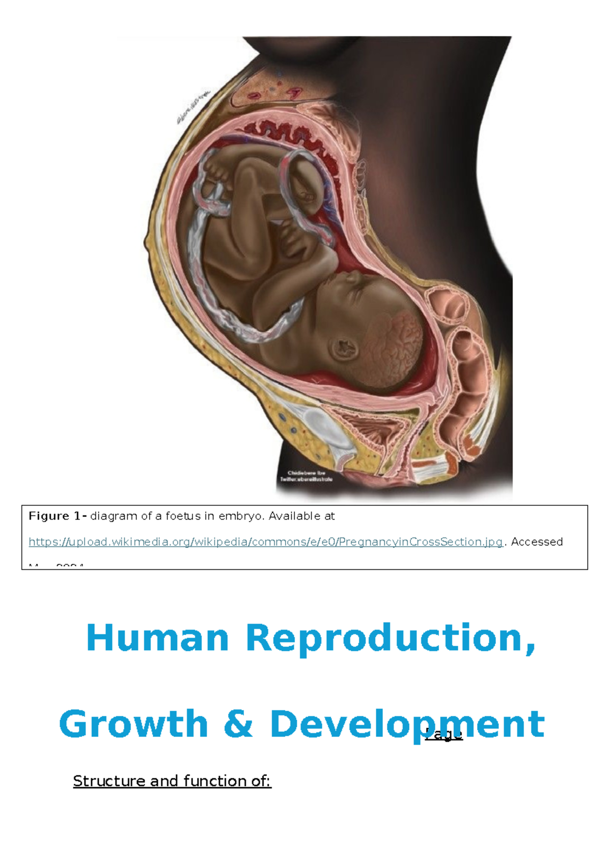 Unit 7 - Human Reproduction^J Growth ^0 Development DISTINCTION - Page ...