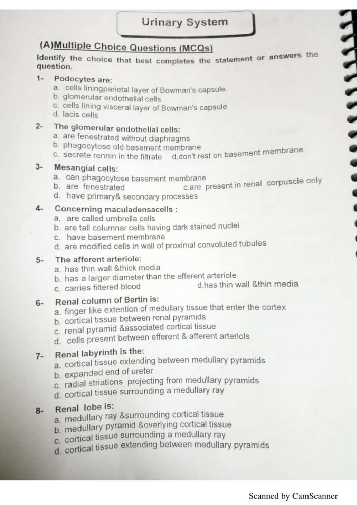 ① Urinary system - Urinary System (A) Multiple Choice Questions (MCQs ...