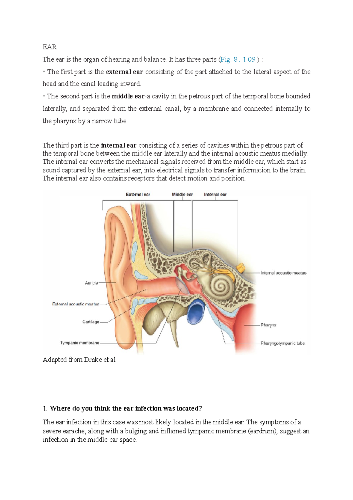 EAR - EAR The ear is the organ of hearing and balance. It has three ...
