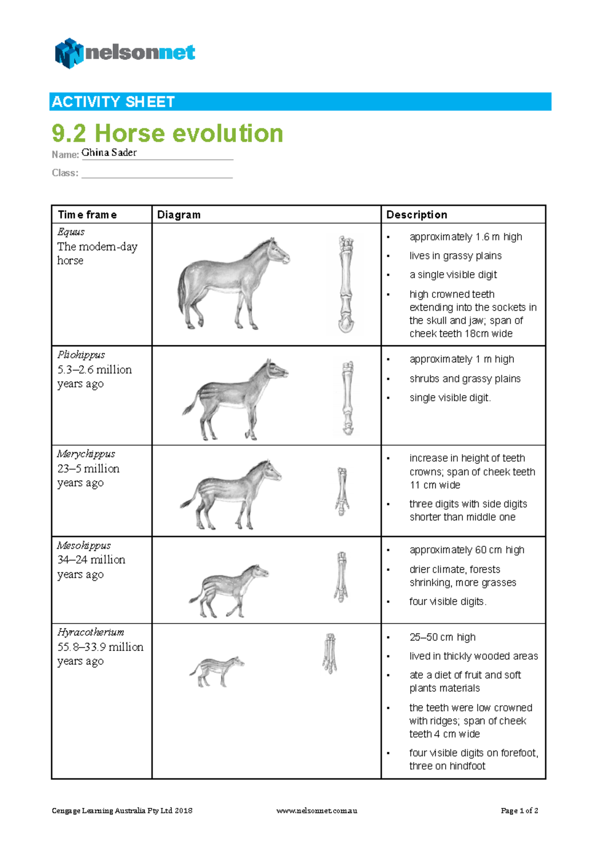 Ghina Sader - Activity 9.2 Horse Evolution - Cengage Learning Australia ...
