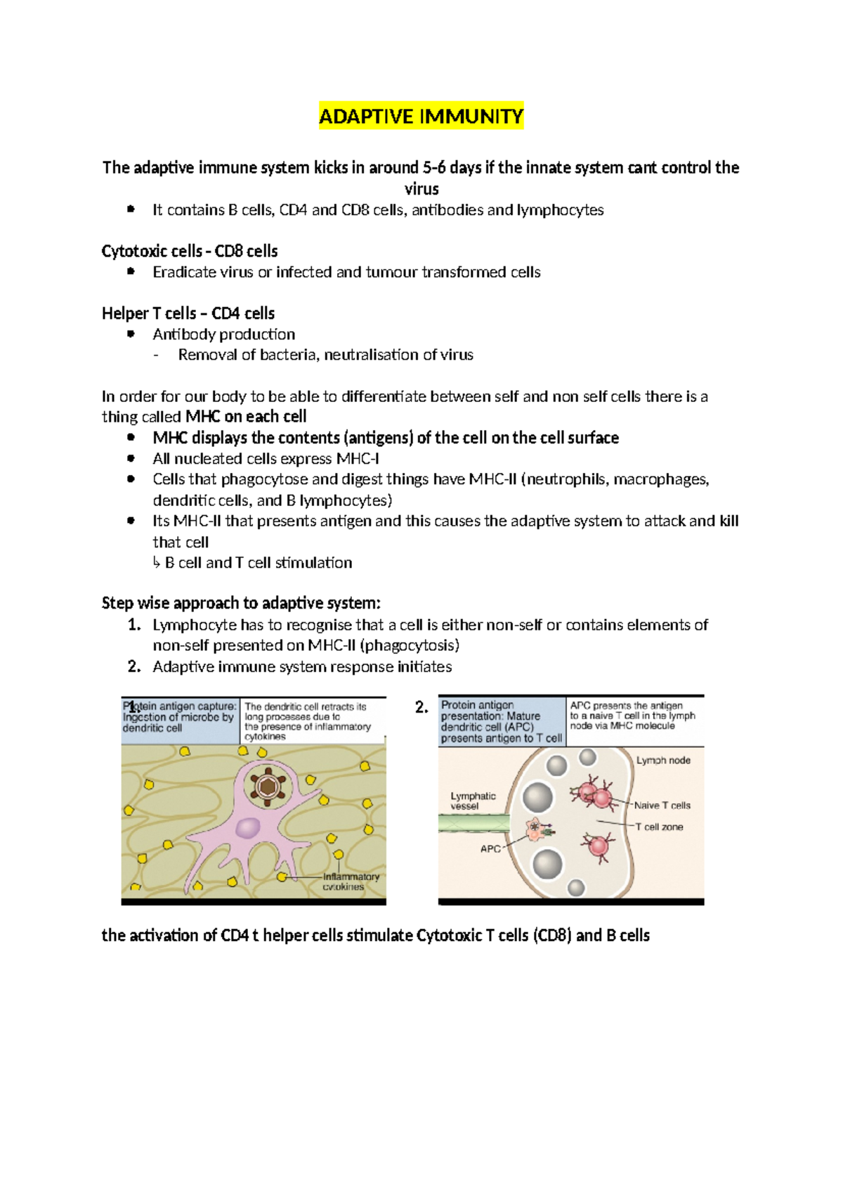 Adaptive Immunity Lecture Notes Adaptive Immunity The Adaptive