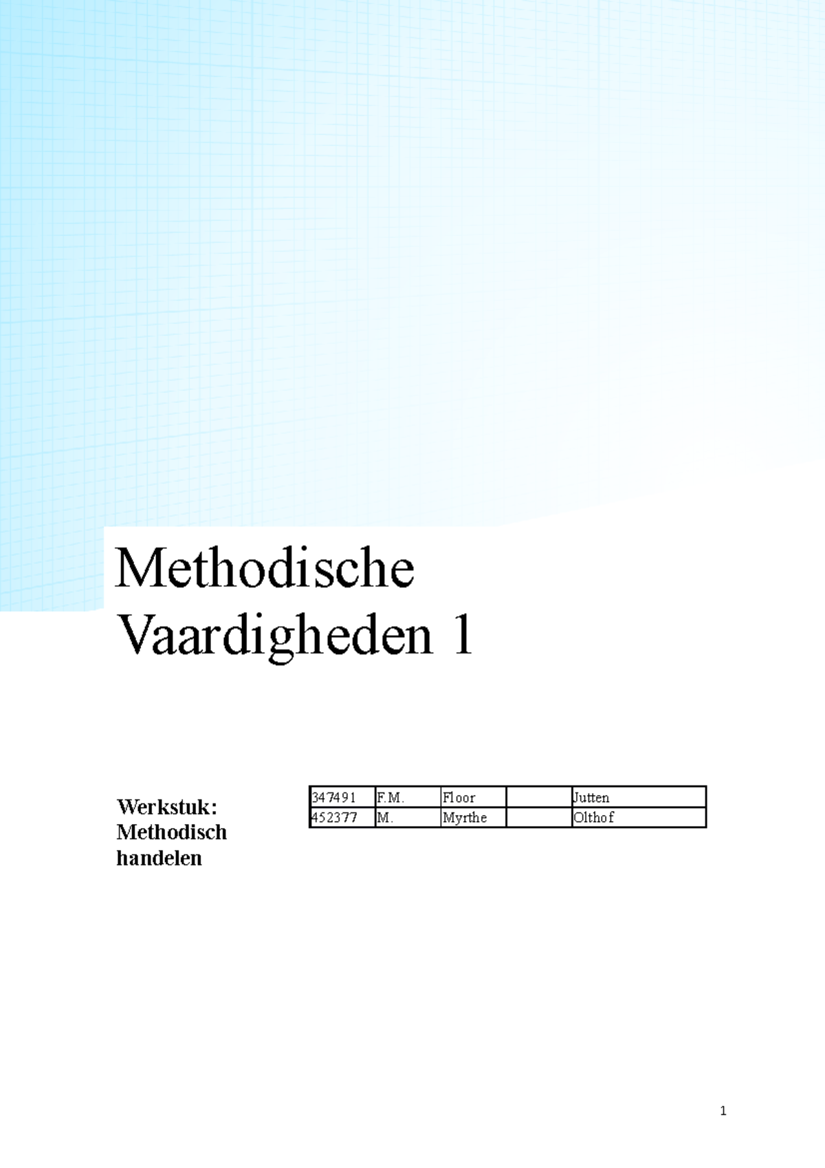 Methodisch vaardigheden 1 werkstuk (goed) - Methodische Vaardigheden 1 ...