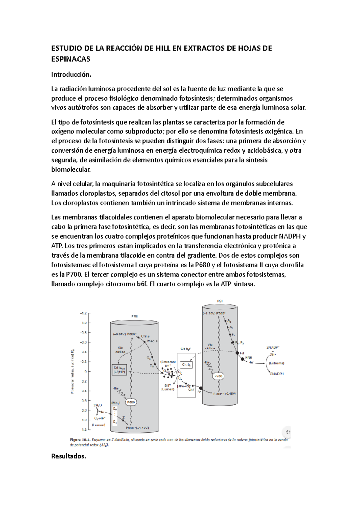 Reaccion de hill memoria fv - ESTUDIO DE LA REACCIÓN DE HILL EN ...