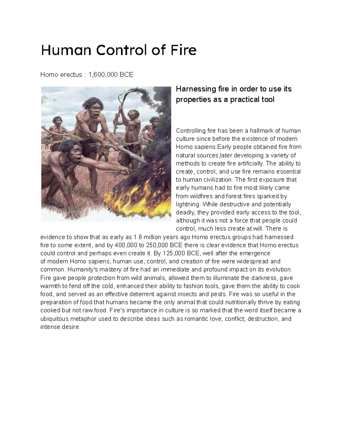 Human Control of Fire - Human Control of Fire Homo erectus : 1,600,000 ...