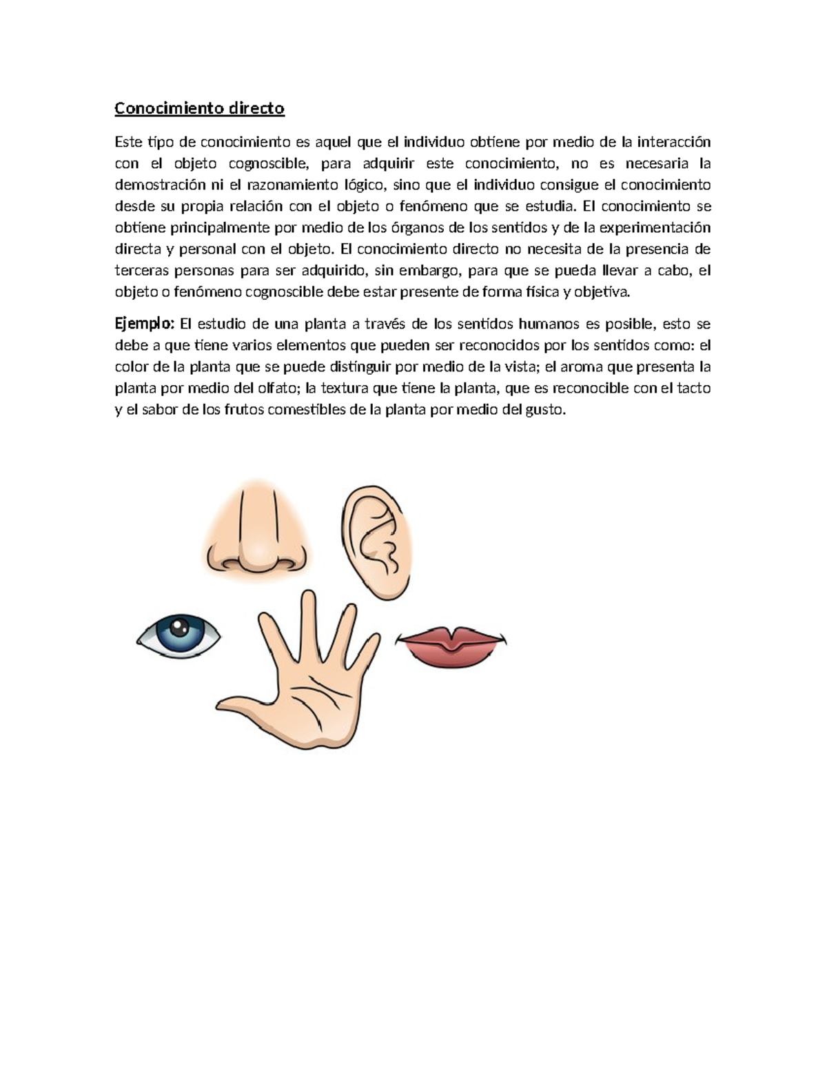 Conocimiento directo - Conocimiento directo Este tipo de conocimiento ...