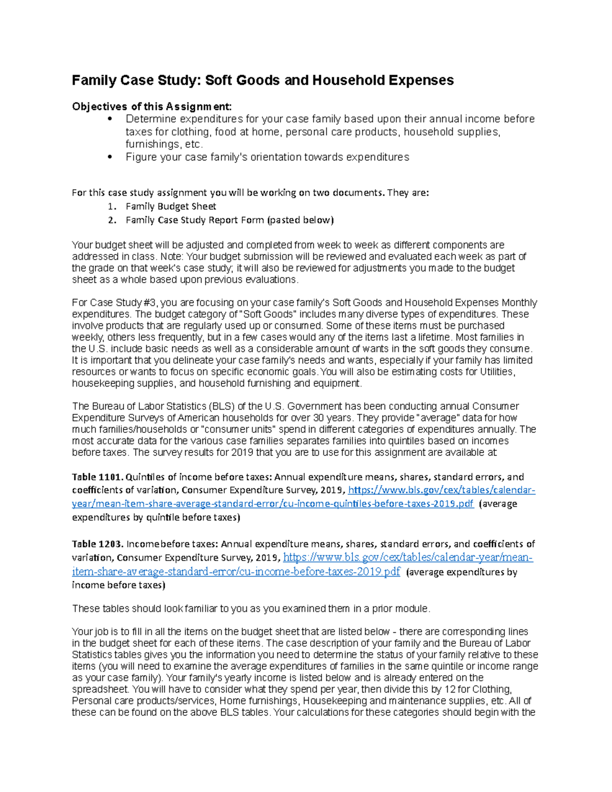 4 Budget Report Form(10) - Family Case Study: Soft Goods and Household ...