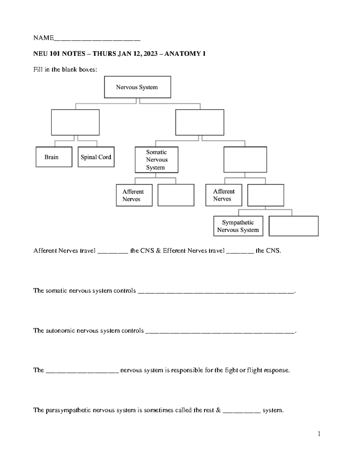 1 12 Notes Anatomy 1 - NAME_________________________ NEU 101 NOTES ...