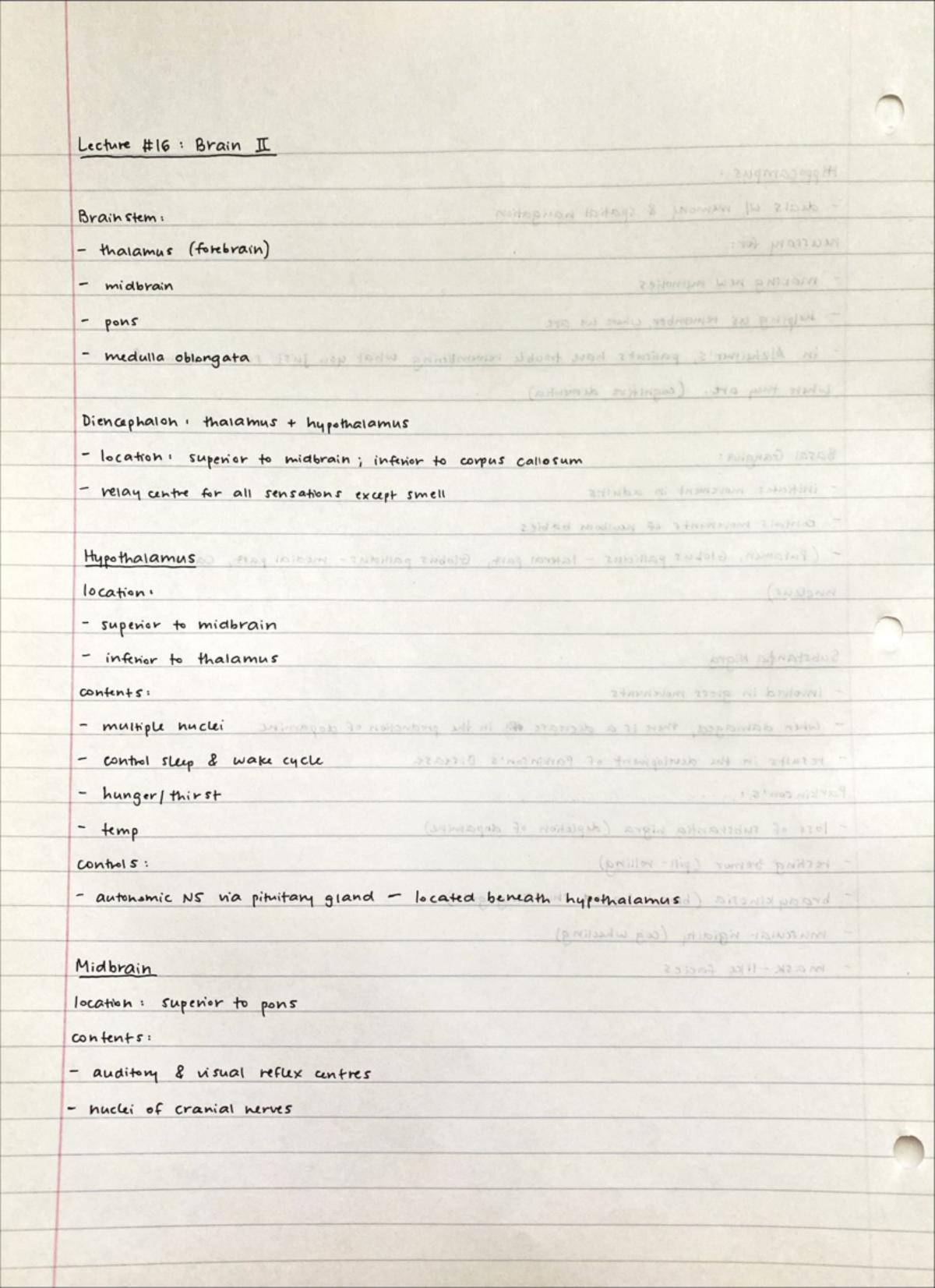 Human Anatomy Lecture 16 Pas 113llb Studocu