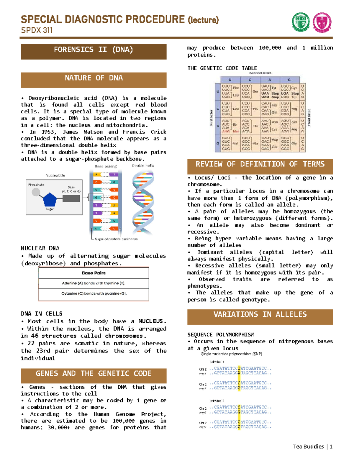 SPDX311 Forensics II (DNA) - SPDX 311 FORENSICS II (DNA) NATURE OF DNA ...