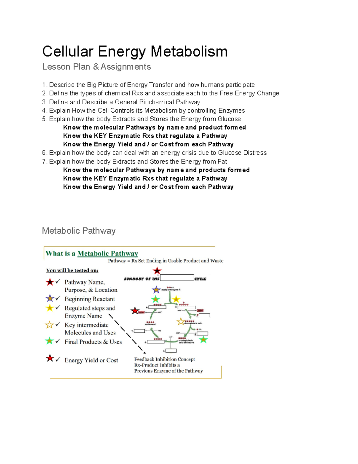L4 Cellular Energy Metabolism - Cellular Energy Metabolism Lesson Plan ...
