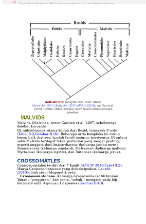 Tabel Hasil Pengamatan Pengeraman Telur Print - Biologi Umum - UIN ...