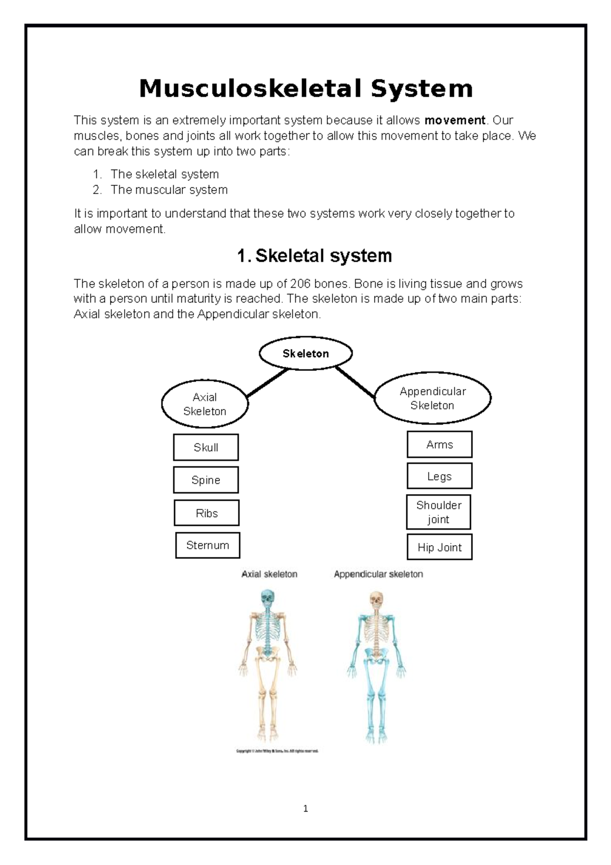 Musculoskeletal System notes - Musculoskeletal System This system is an ...
