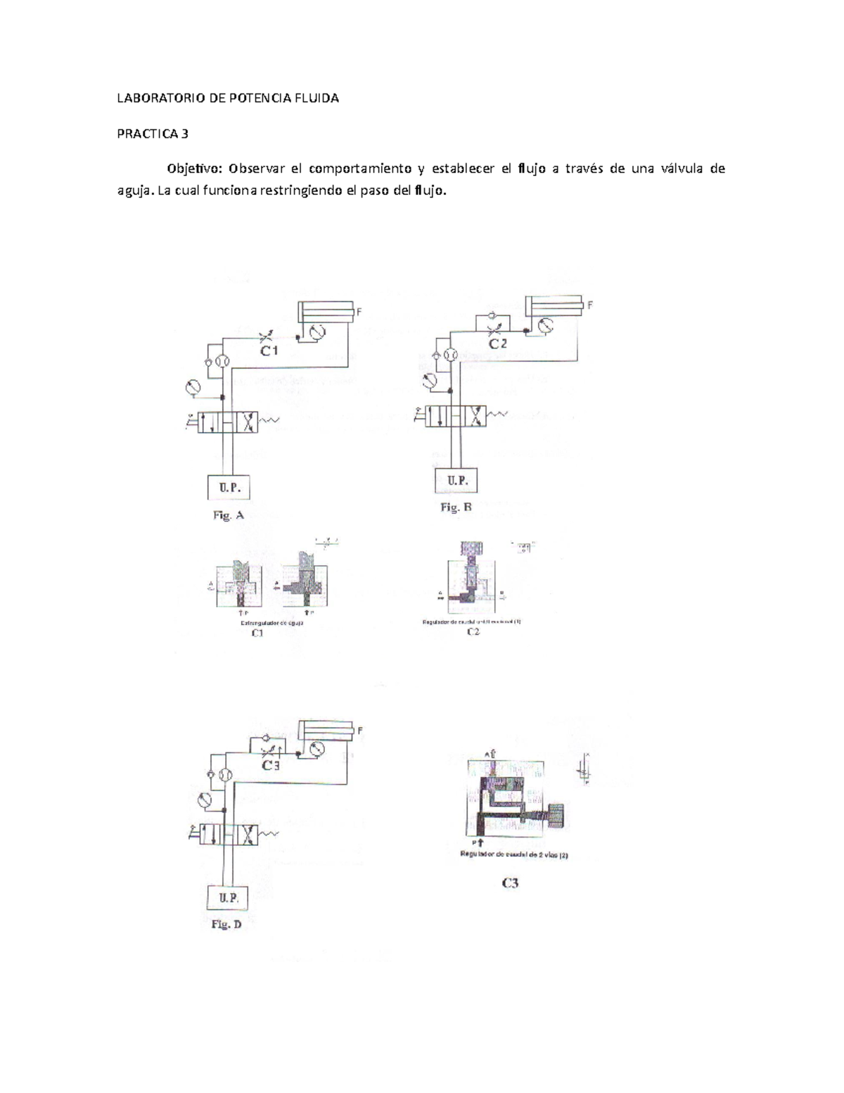 Practica 3 - LABORATORIO DE POTENCIA FLUIDA PRACTICA 3 Objetivo: Observar el comportamiento y ...