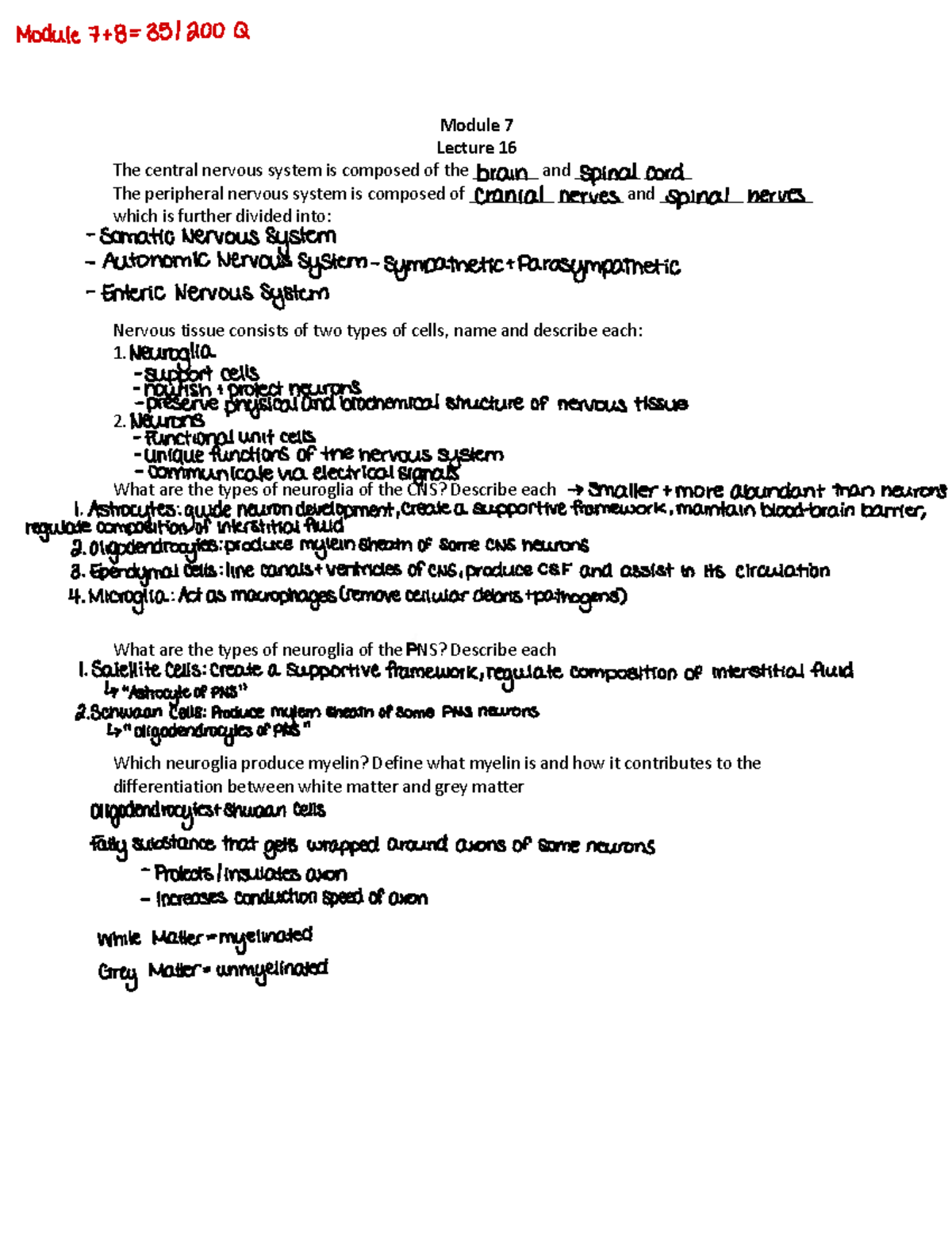 Module 7 Review - Module 7 Lecture 16 The central nervous system is ...