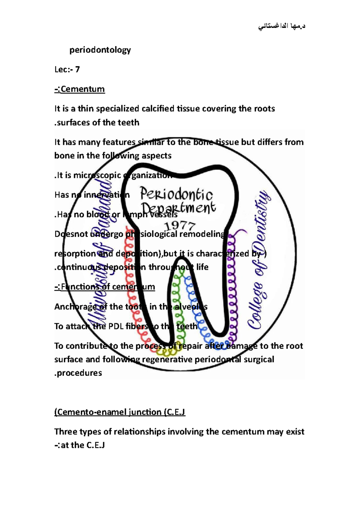 Perio Lec11 - oral surgery - periodontology Lec:- 7 -:Cementum It is a thin specialized ...